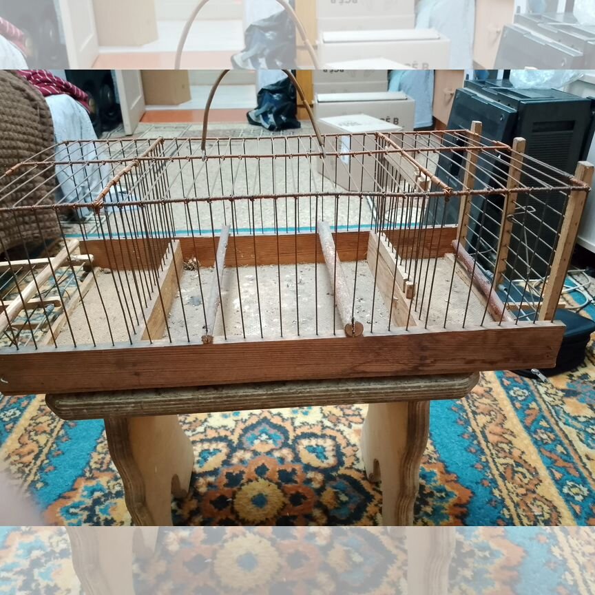 Ловушка для птиц