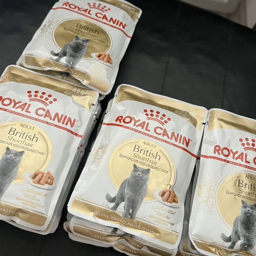 Корм для кошек royal canin british 19 пачек