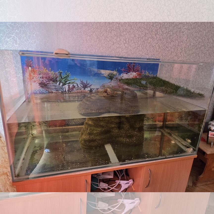 Аквариум