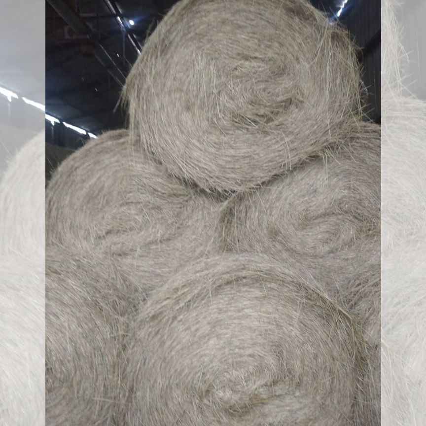 Продам сено в рулонах 250кг