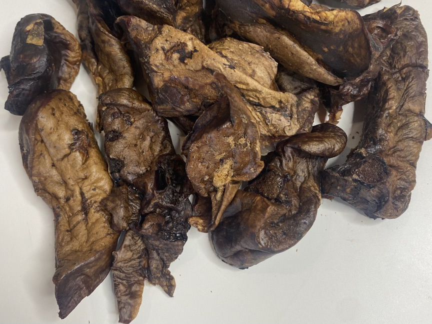 Лакомства для собак. Сушеное легкое и др