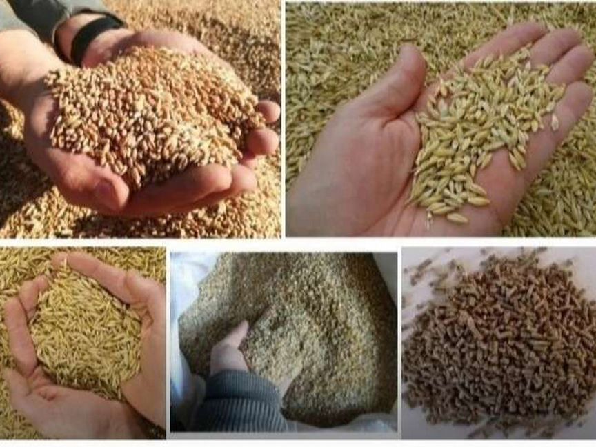 Доставка зерна, комбикорма