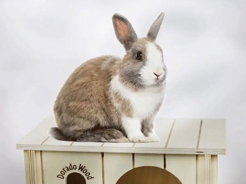 Домик для грызунов