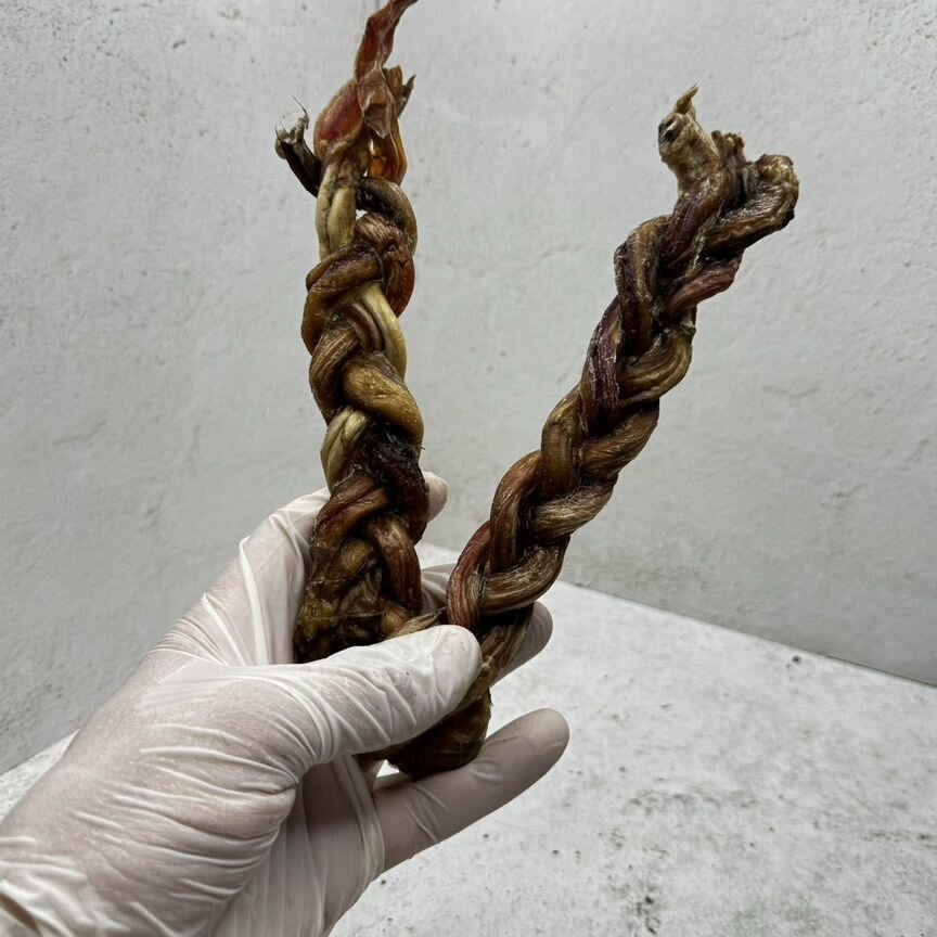 Бараний корень 2 шт