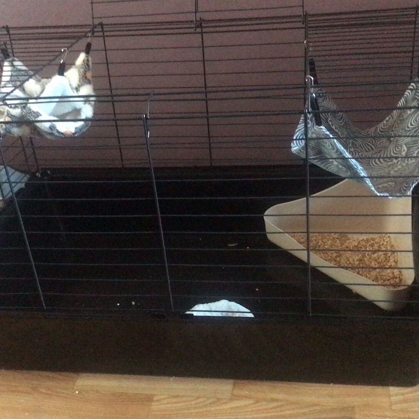 Клетка для грызунов бу