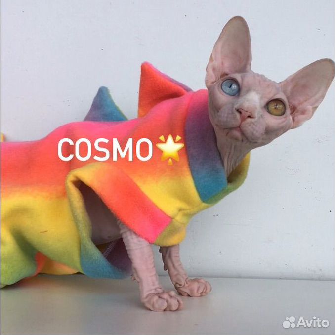 Белая разноглазая девочка