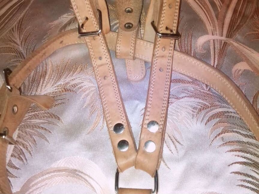 Шлейка для большой собаки