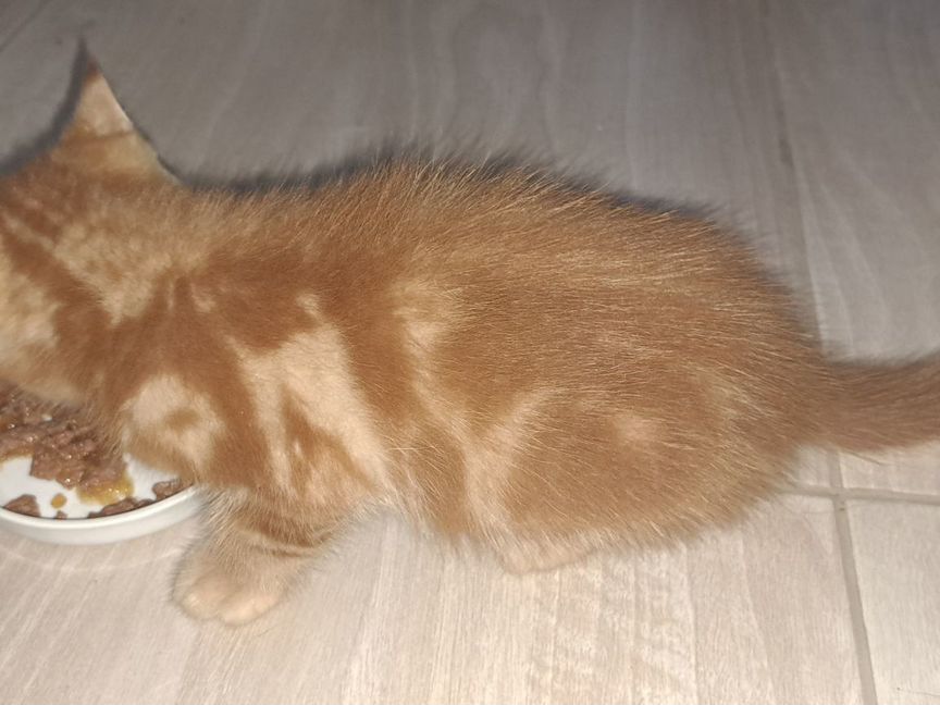 Супер красавчик ищет очень ответственных мам,пап