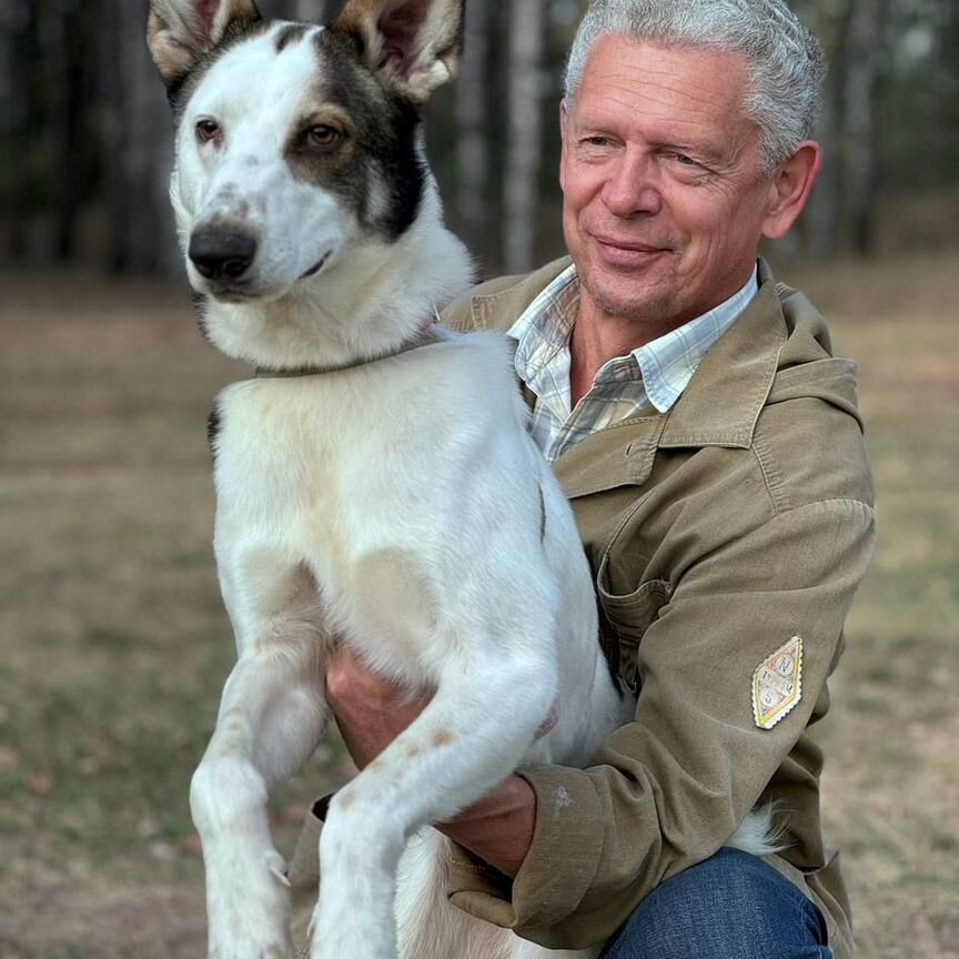 Майло, пес ищет дом