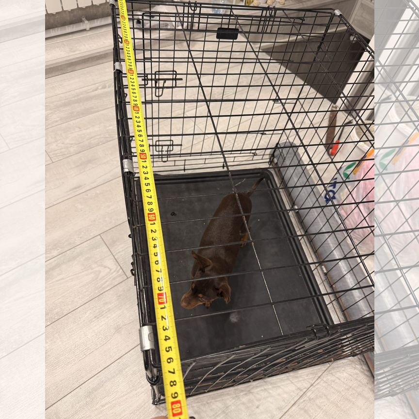 Клетка для собак