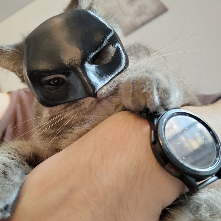 Маска бетмена для кота
