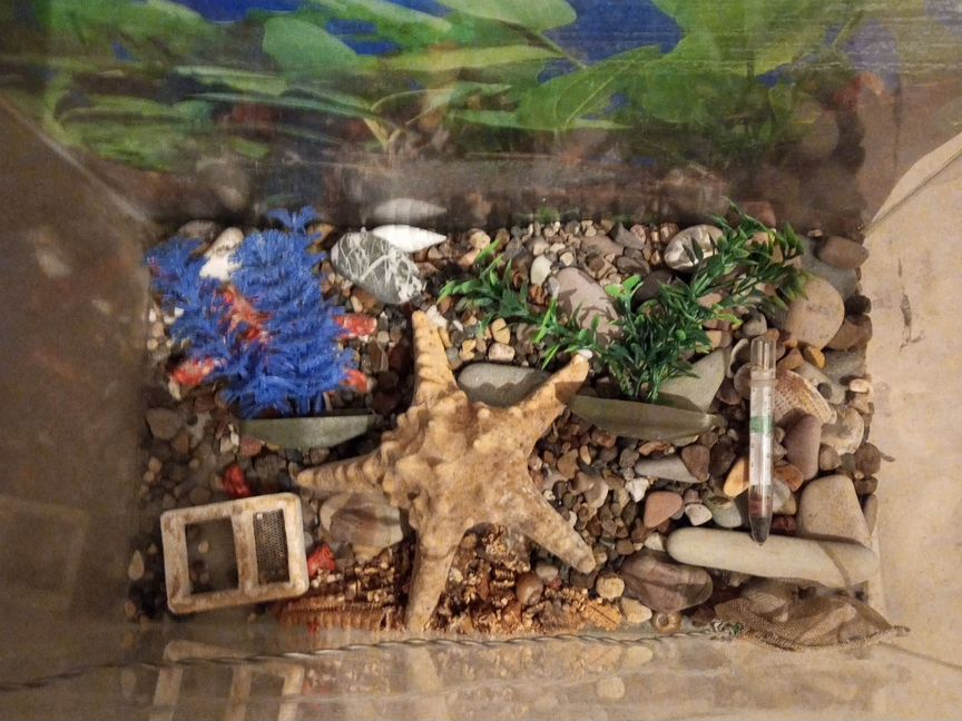 Аквариум бу 30л