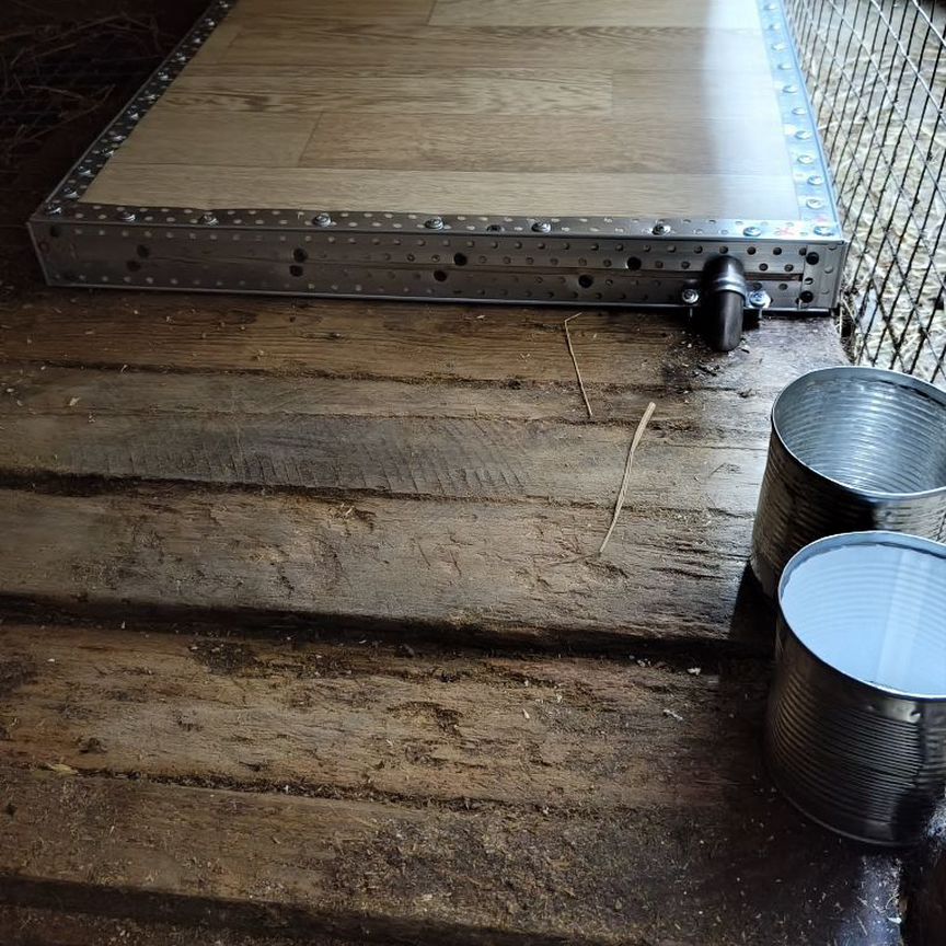 Тёплый пол для крольчат