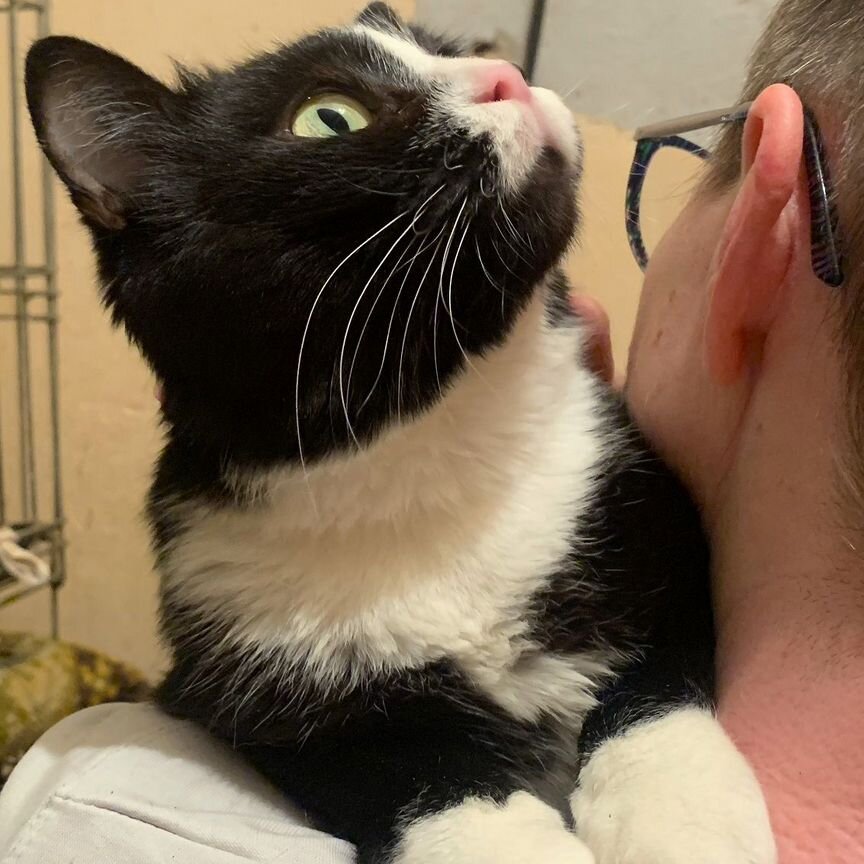 Моё желание не исполнилсь