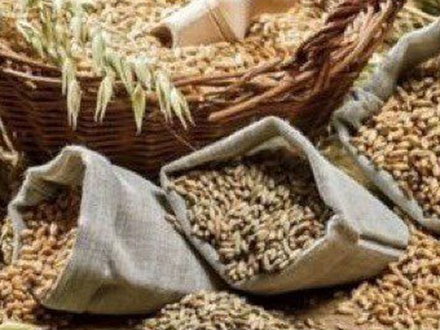 Профкорм