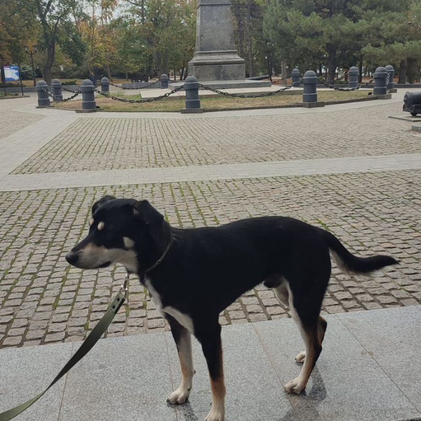 Прекрасный Малыш