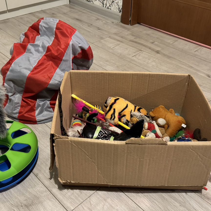 Игрушки для кошек бесплатно