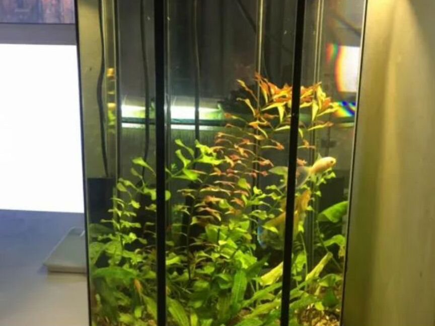 Аквариум восьмигранный + грунт в подарок