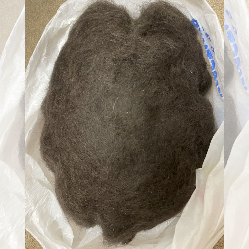 Собачья шерсть и пух