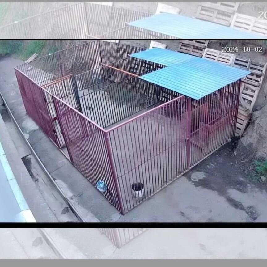 Клетка вольер для собак