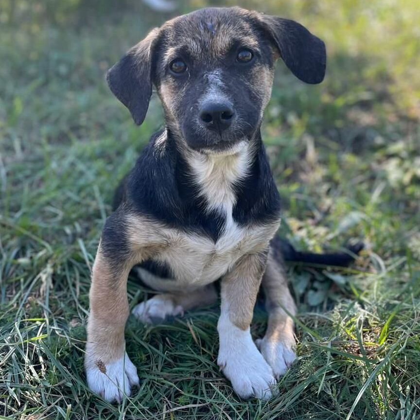 Я верю в чудо