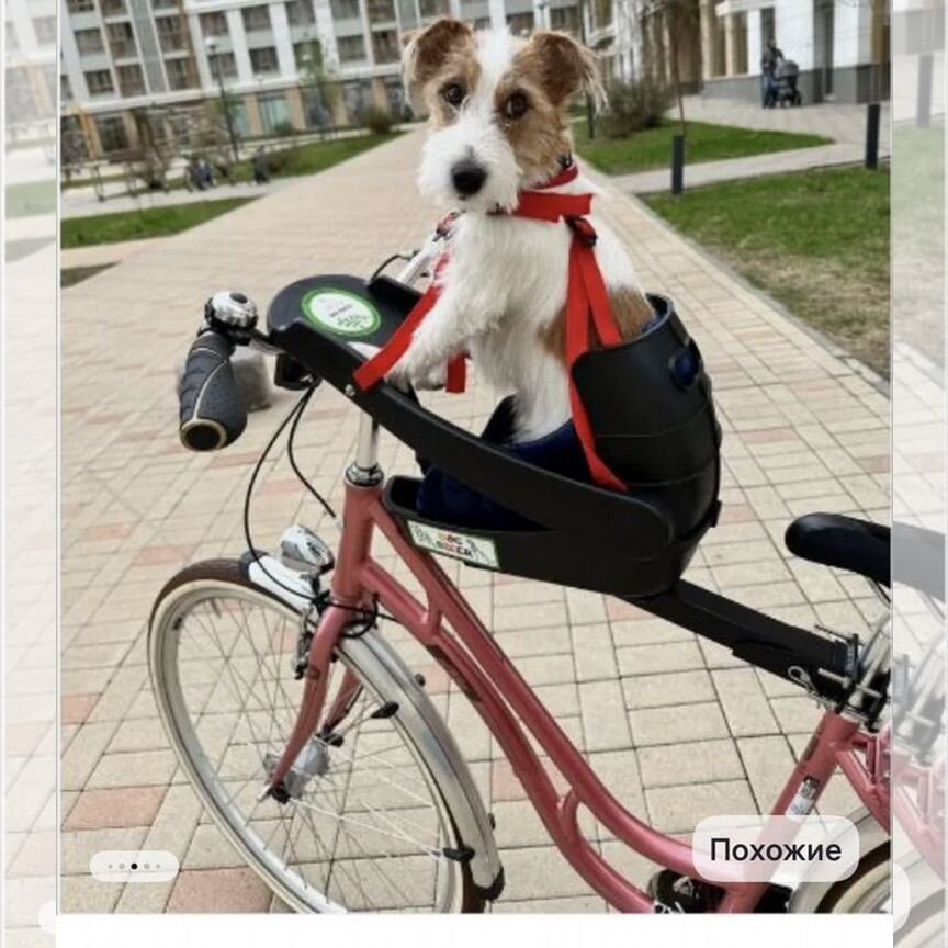 Велокресло для собак dog biker