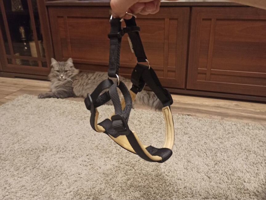 Шлейка для собак