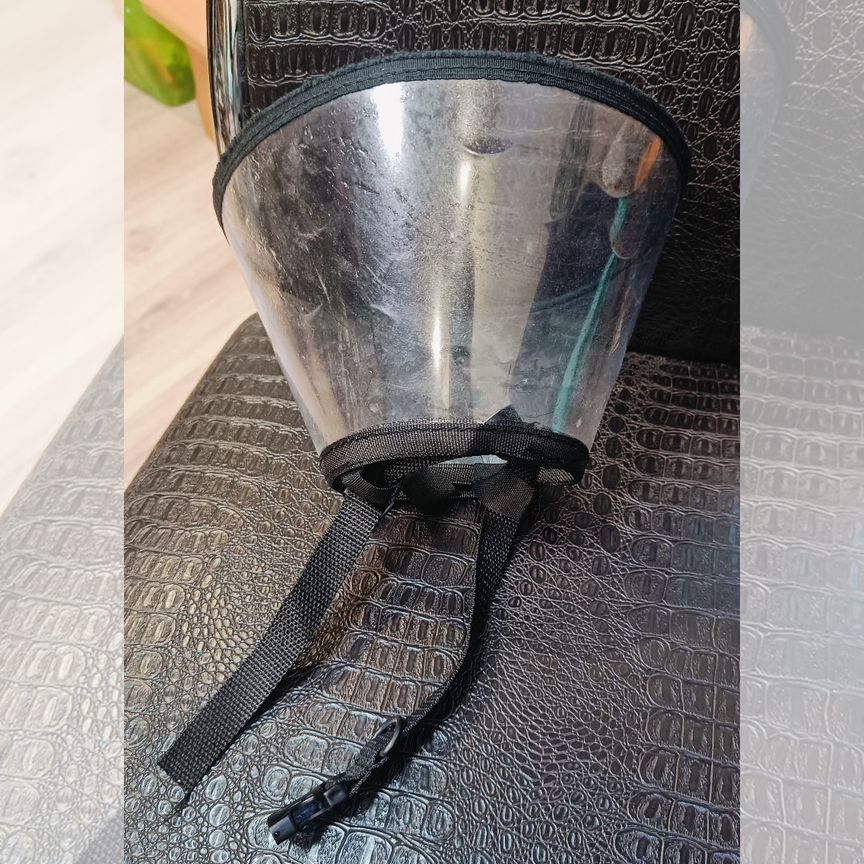 Воротник для животных