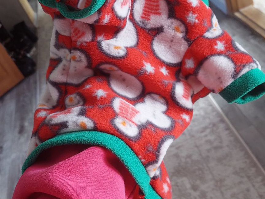 Одежда для маленьких собак