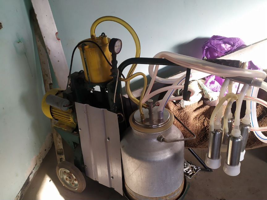 Доильный аппарат для коров бу