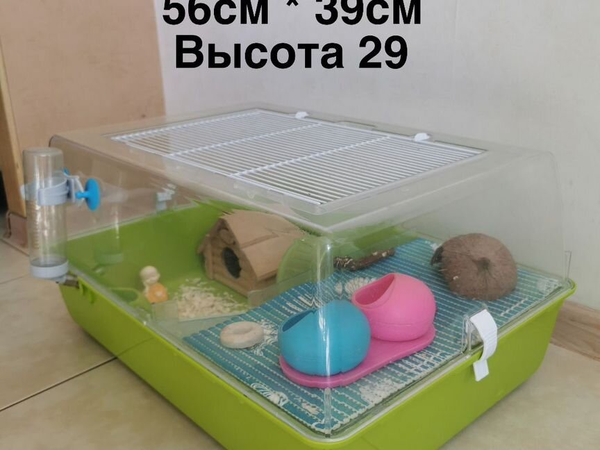 Клетка для грызунов джунгарика террариум, подарок