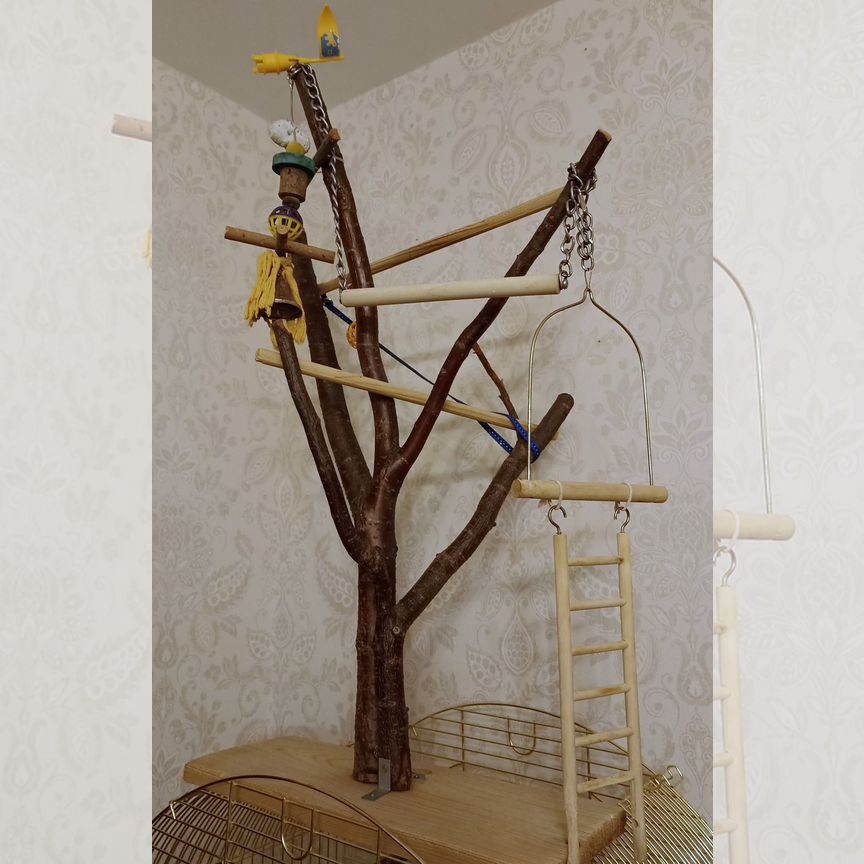 Игровой стенд и присада для попугаев