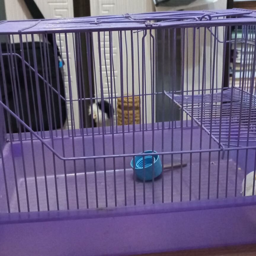 Клетка для хомячков