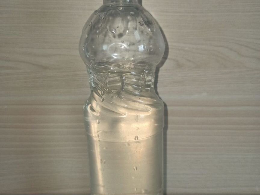 Солоноводная коловратка