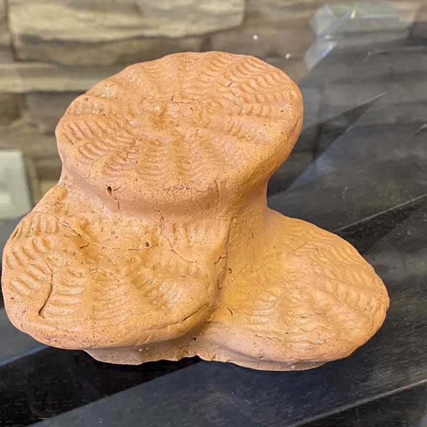 Островок для черепахи