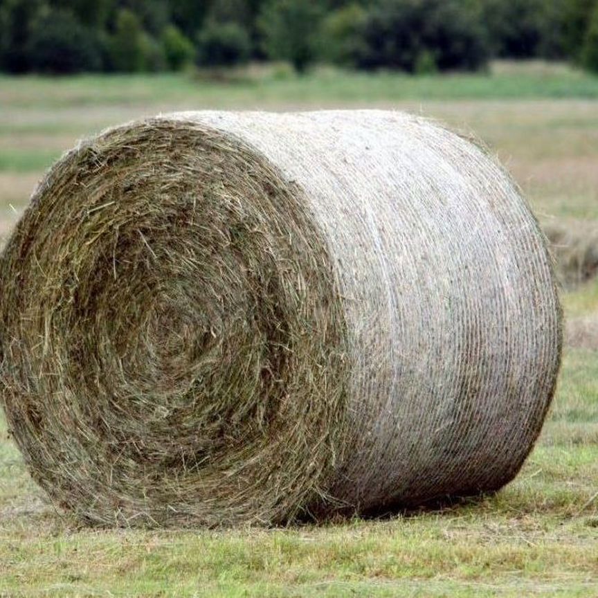 Сетка для сенажа