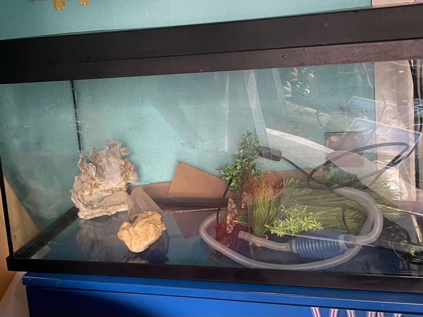 Аквариум/террариум + фильтр
