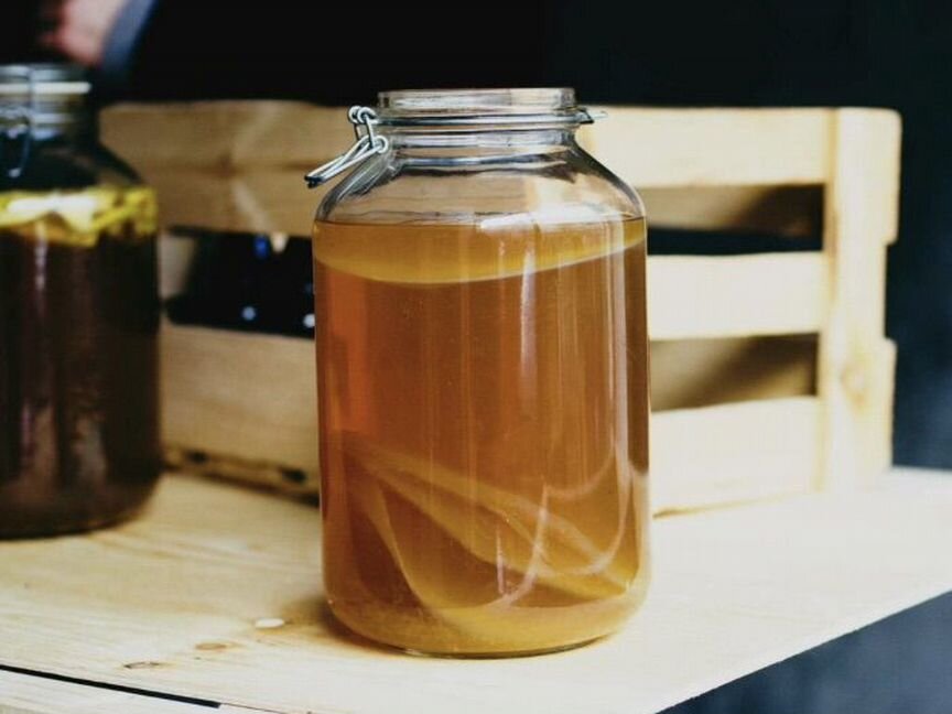 Чайный гриб комбуча