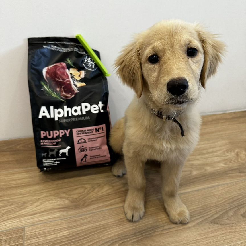 Корм для щенков AlphaPet Puppy с говядиной