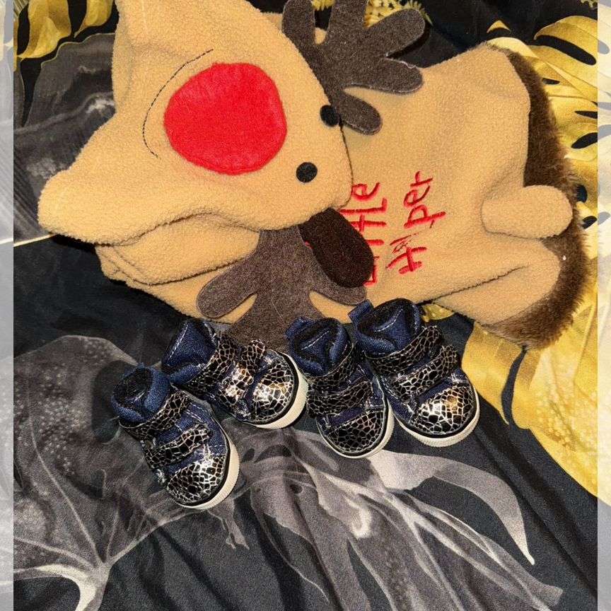 Одежда для маленьких собак