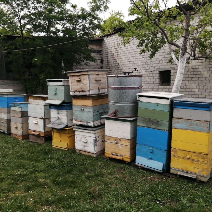 Продам ульи для пчел