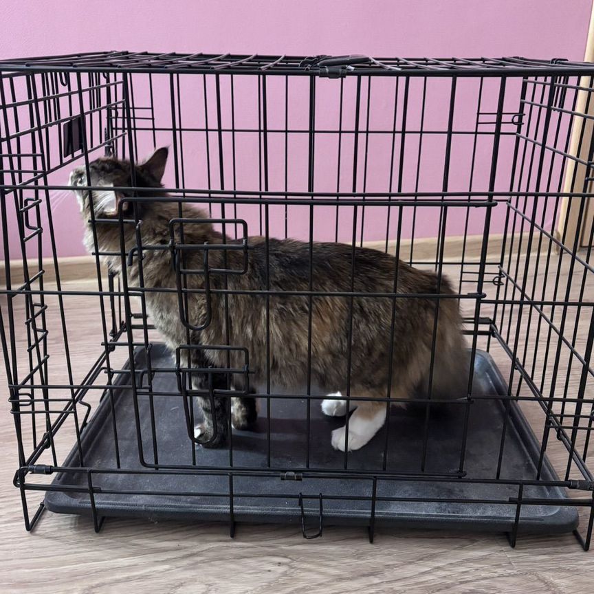 Клетка для животных б/у