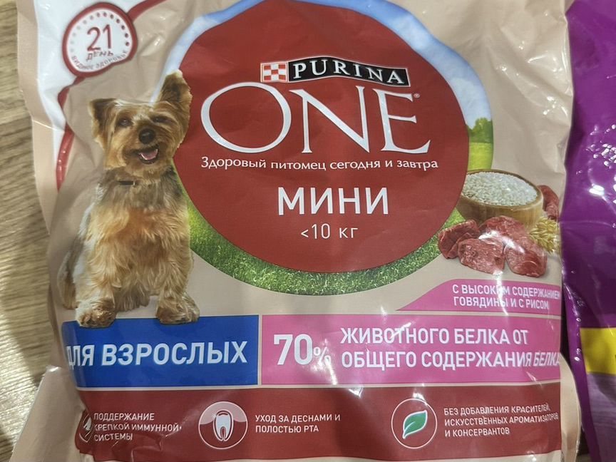 Корм для кошек и собак whiskas и purina one