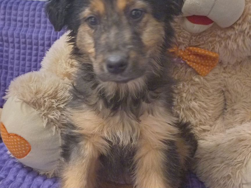 Малышка Венди