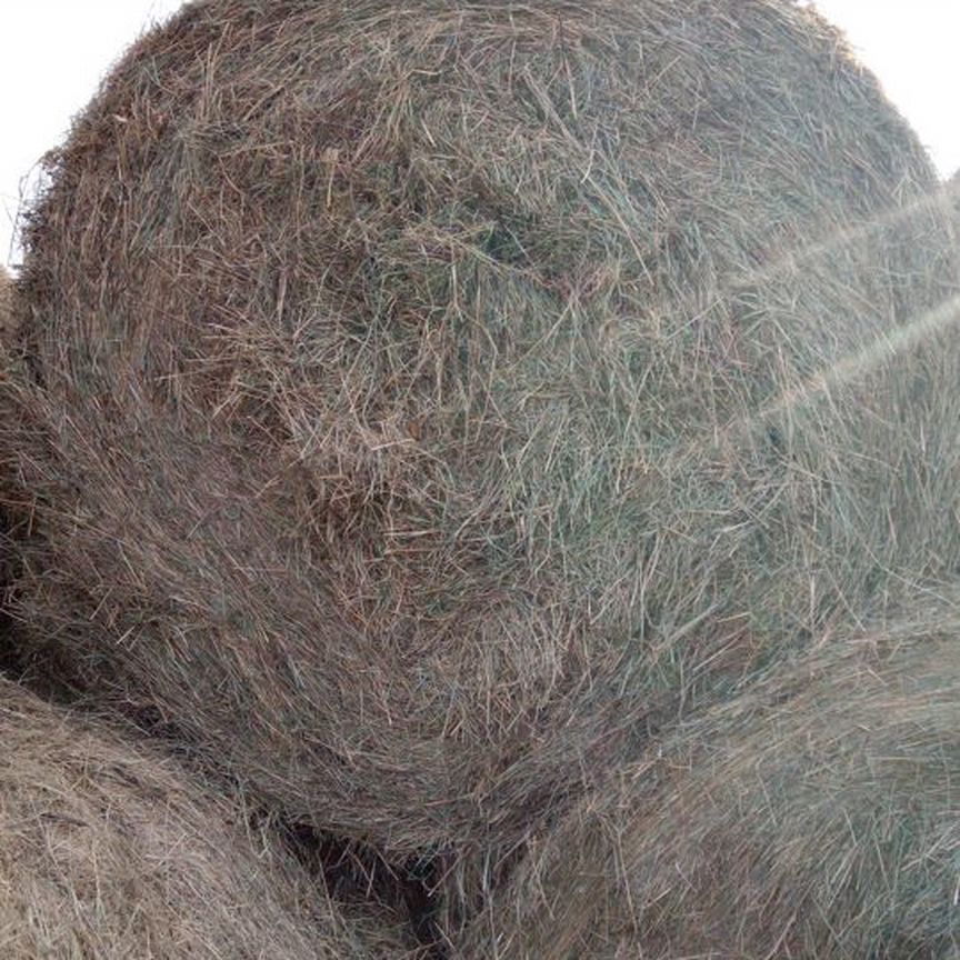 Сено 450-500кг