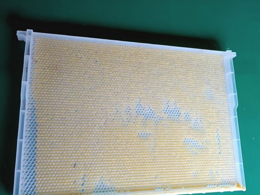 Гнездовая пластиковая рамка Дадан для пчел