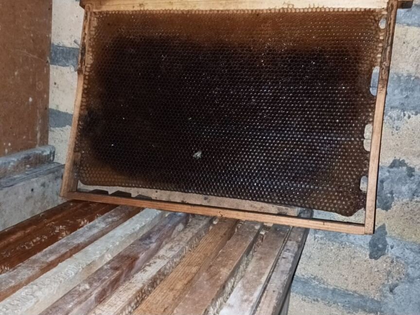 Рамки Сушь Полурамки