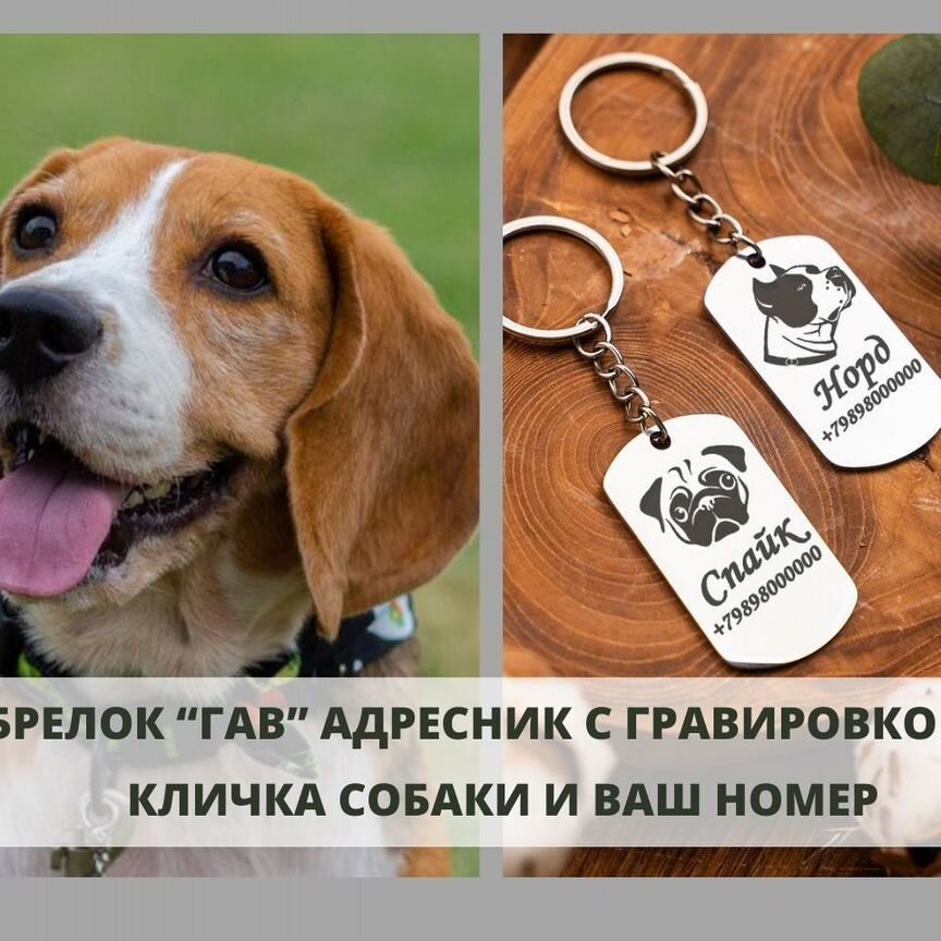 Адресник «Гав» для собак и кошек. Гравировка кличк