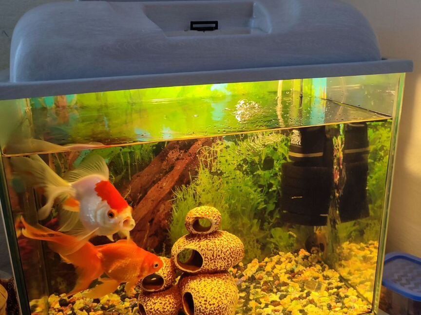Аквариум с тумбой