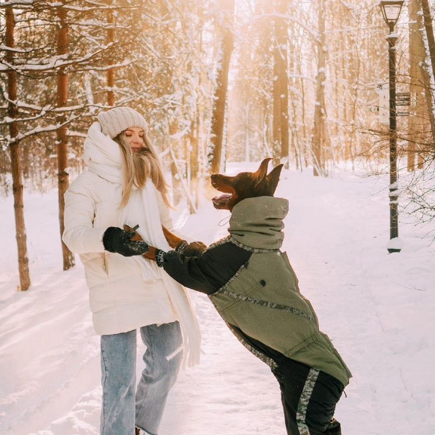 Зимний комбинезон для большой собаки